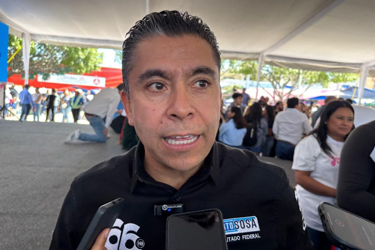 A finales de abril se discutirá la iniciativa de seguridad de Claudia Sheinbaum: Roberto Sosa