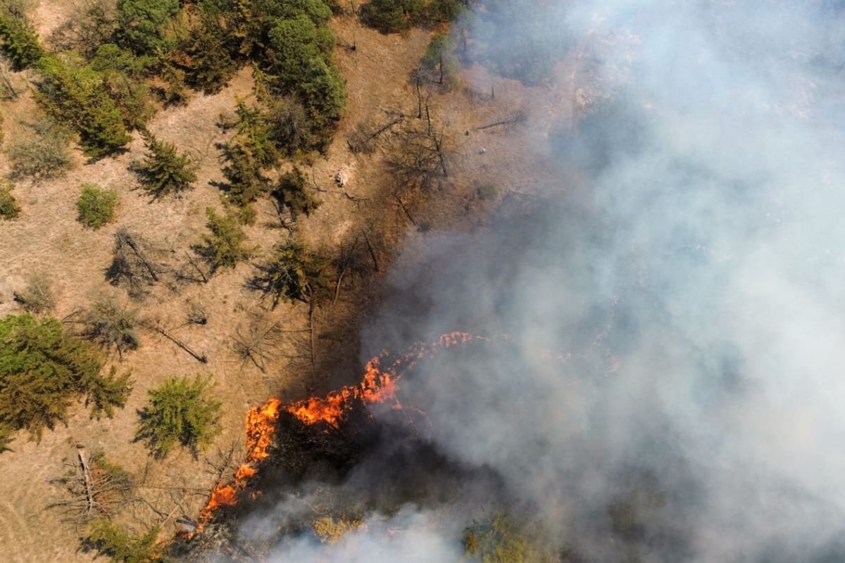 Querétaro cuenta con los recursos para hacer frente a incendios forestales