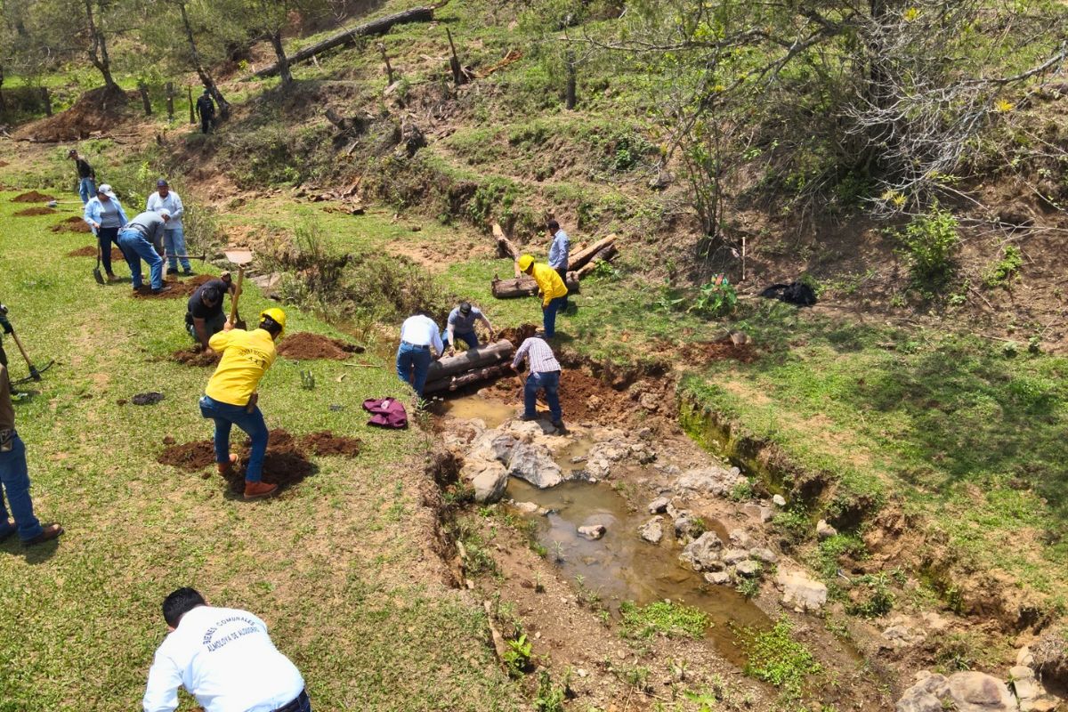 Impulsan restauración forestal en Cuenca del Río Balsas